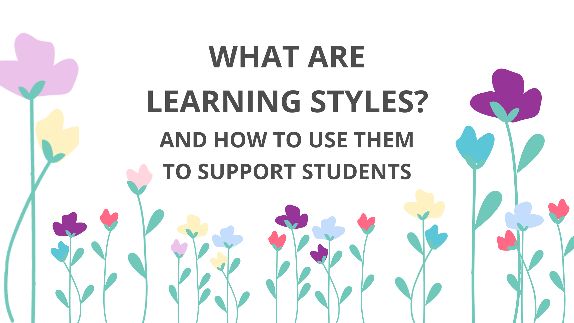 What Are Learning Styles? And How To Use Them To Support Every Student